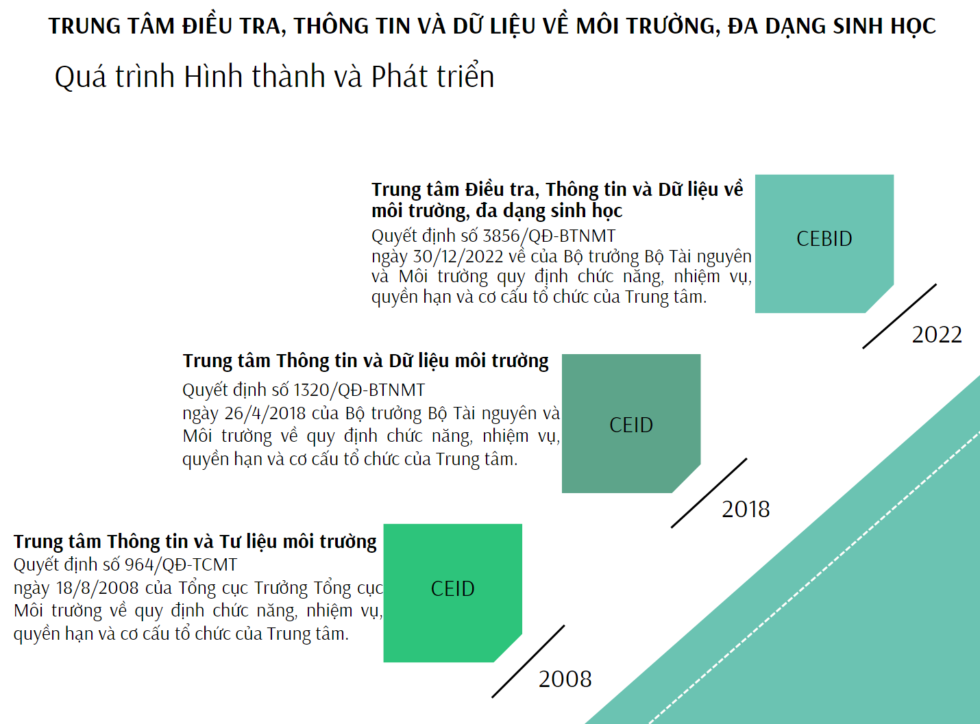 Hình thành và phát triển